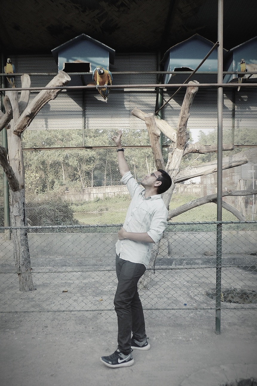 ArAsha - Personal Website